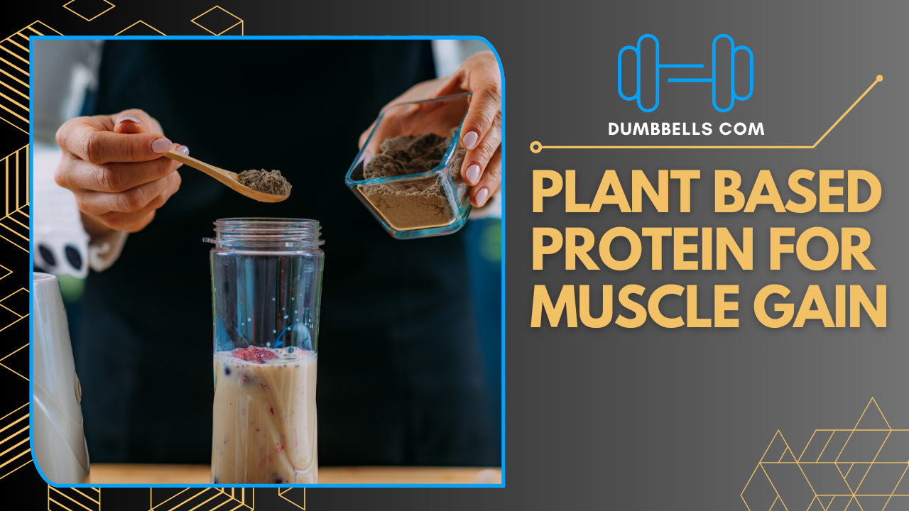 Plant Based Protein for Muscle Gain - Dumbbells.com